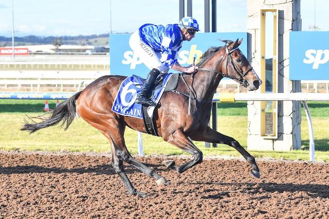 Home | Sutton Racing