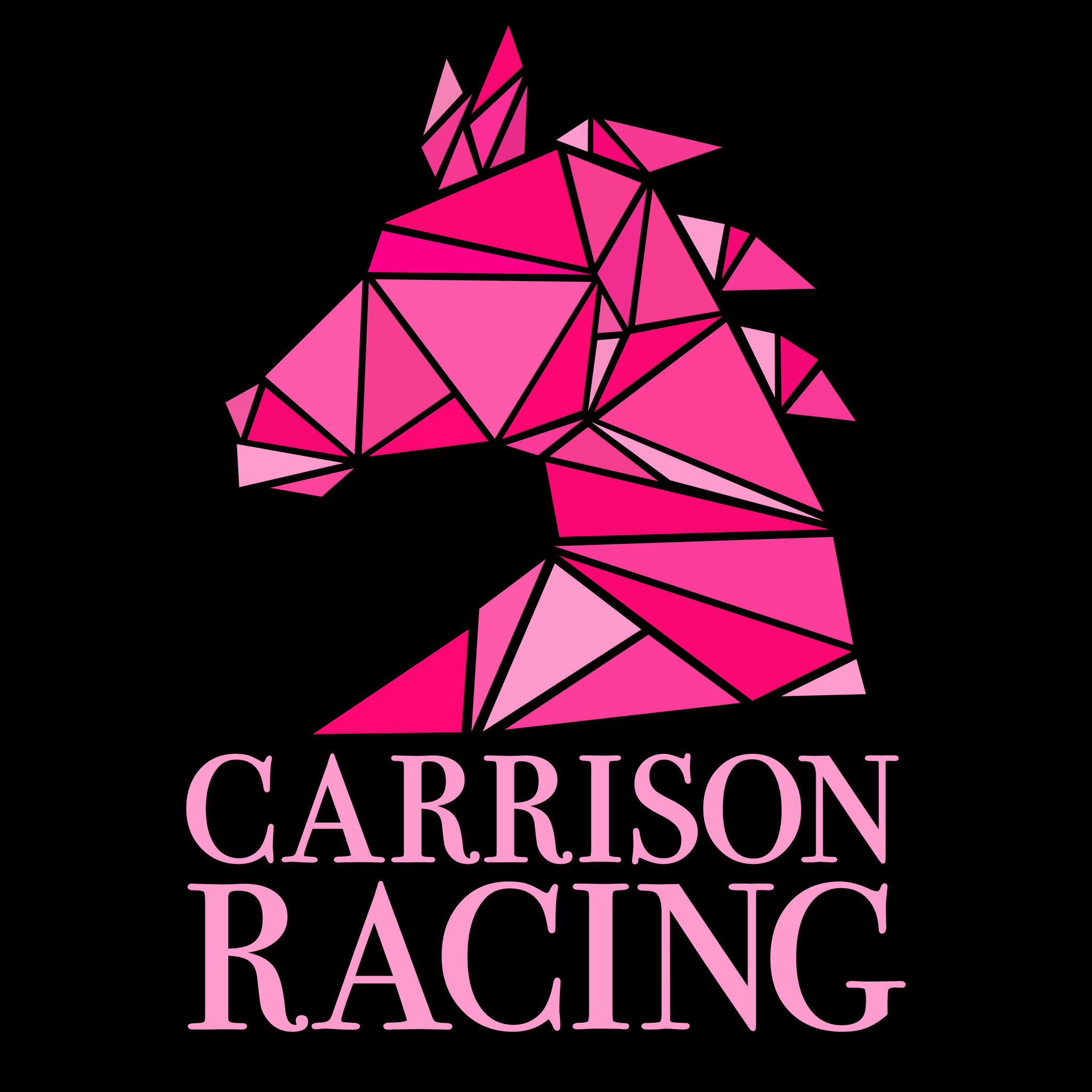 Success Stories | Carrison Racing