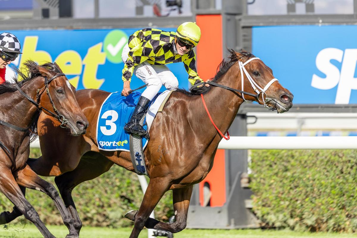 Careers | Phillip Stokes Racing