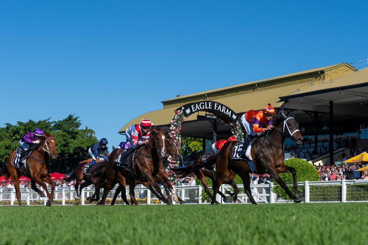 Stradbroke to follow for Regal Award after Fred Best success