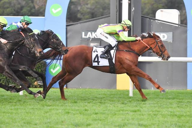 Home | Sutton Racing