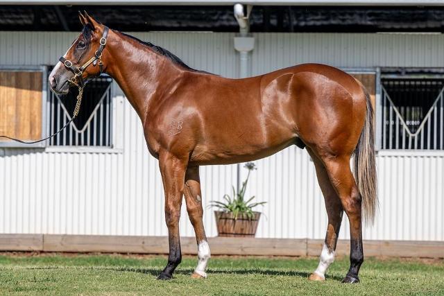 Stay Inside x Prize Draw | Bloodstock Exchange