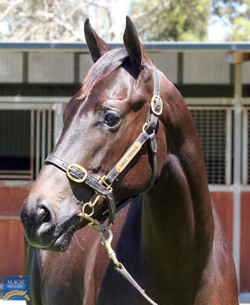 Racing Preview - 22/09/23