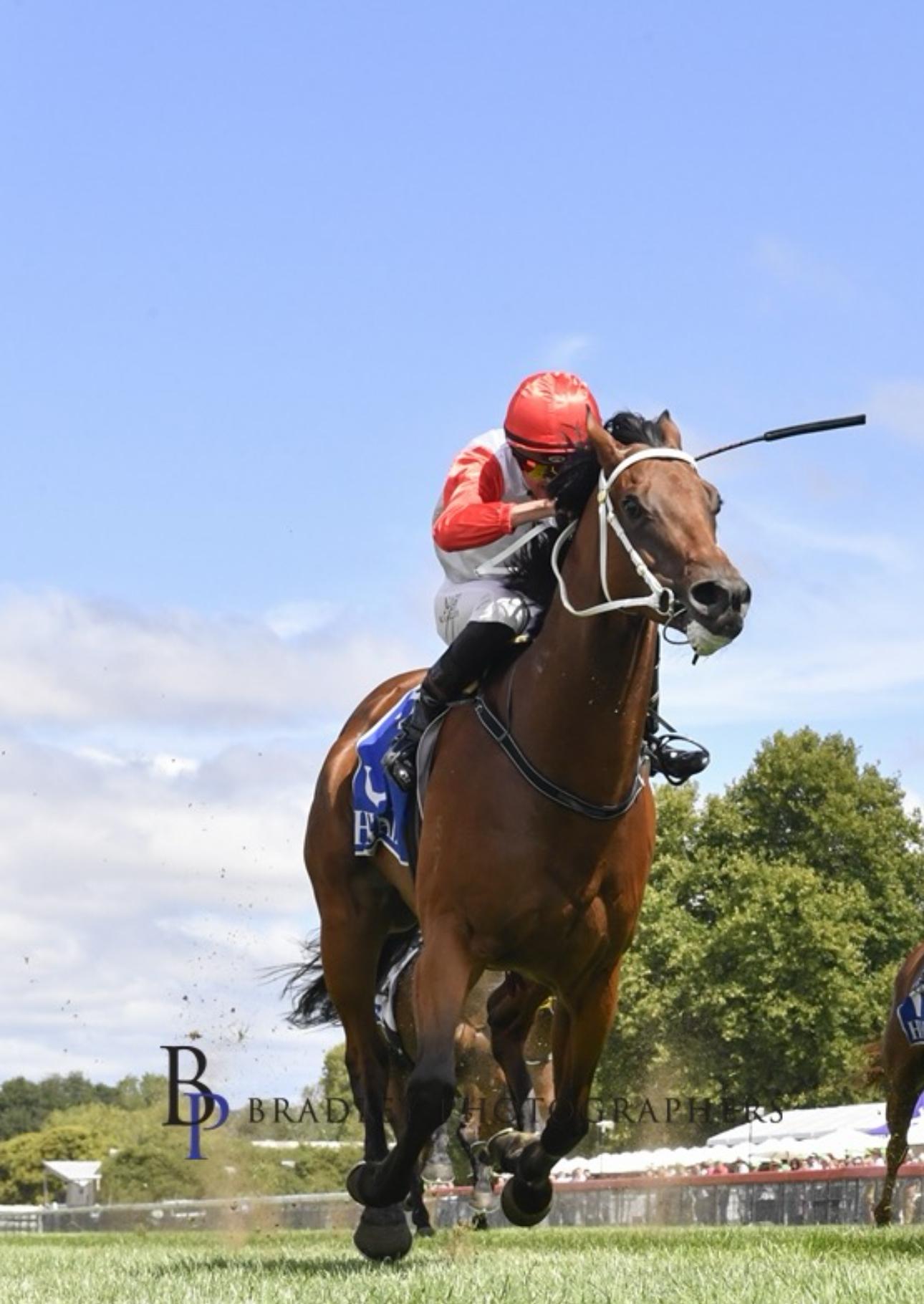 Stonecoat Back in the Winner’s Circle with Gritty Moruya Victory