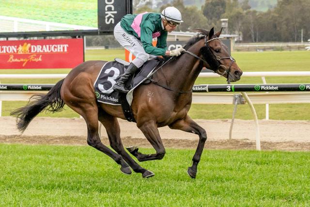 Home | Sutton Racing