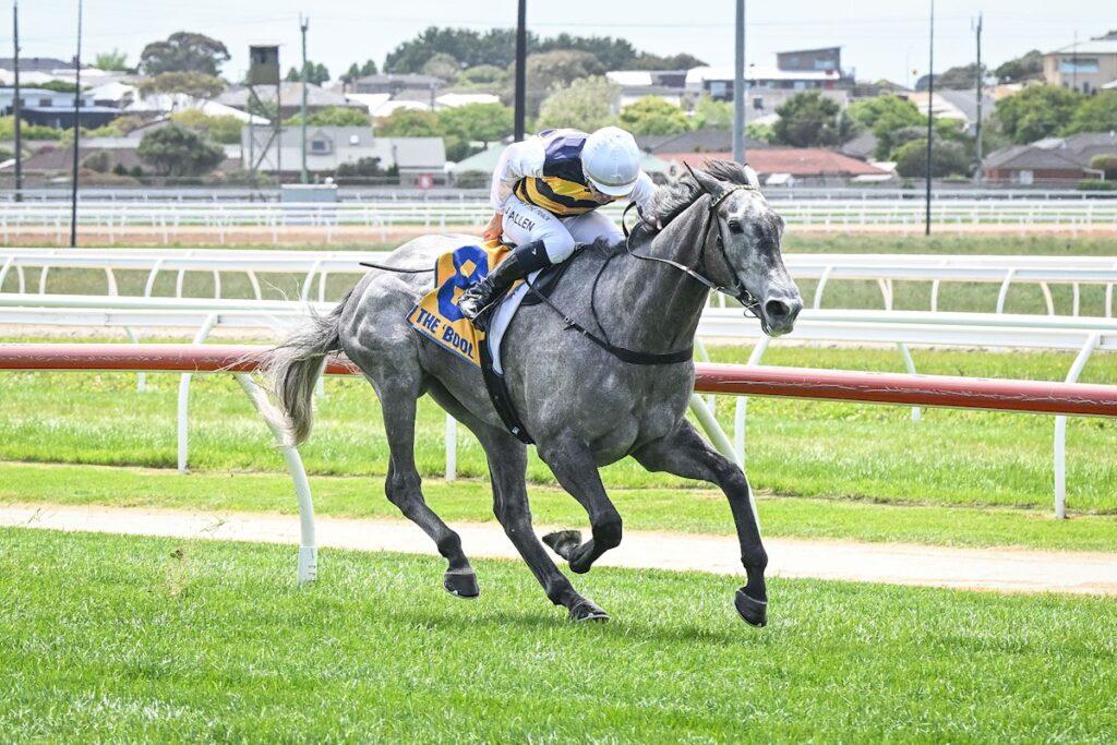 Racing Preview - 11/04/25