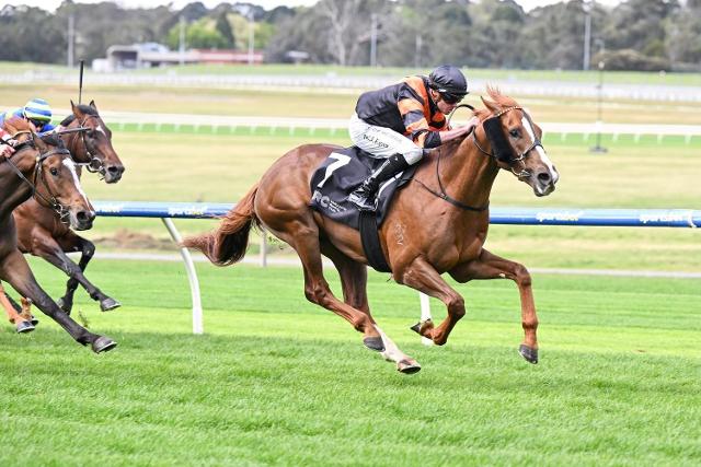 Home | Sutton Racing