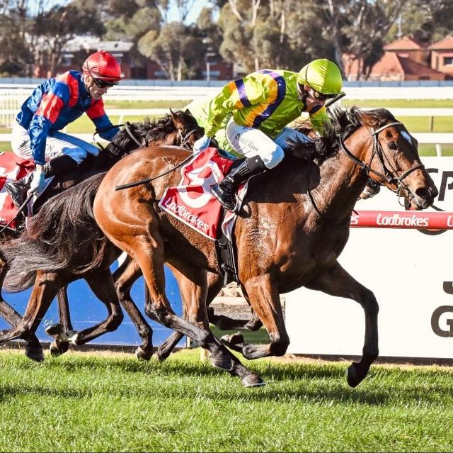 Home | Sutton Racing