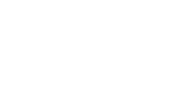 Horse Available | Phillip Stokes Racing