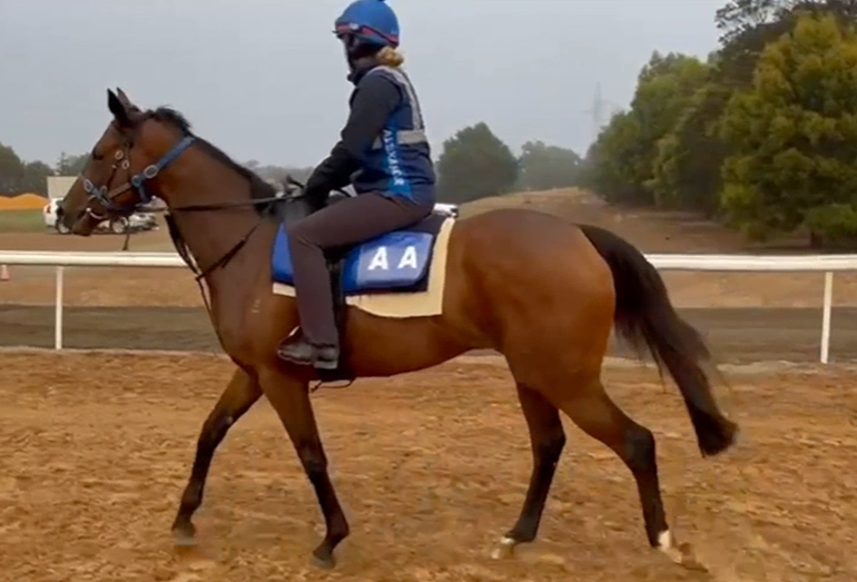 Racing Preview - 28/04/24