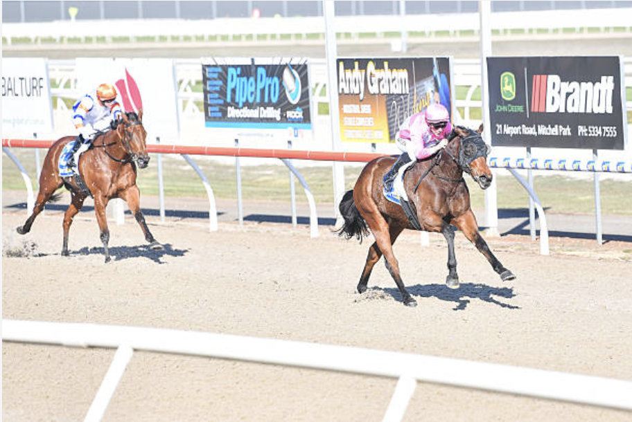 Home | Andrew Noblet Racing