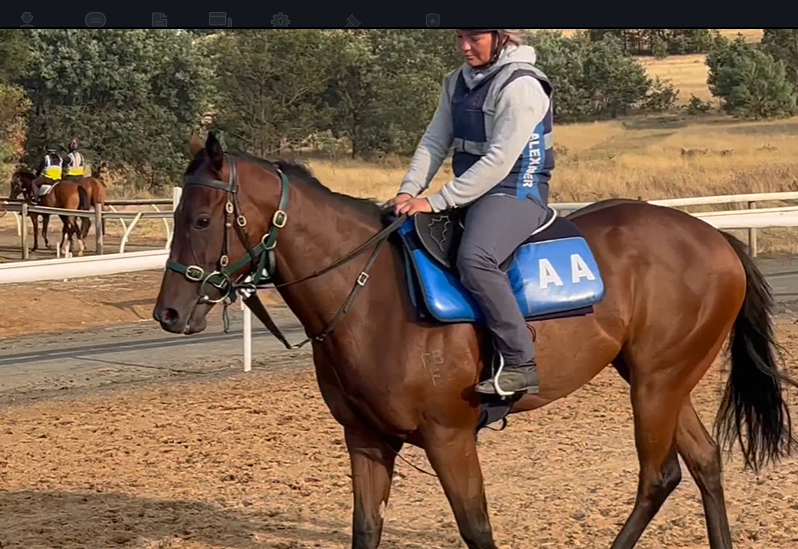 Racing Preview - 09/02/25