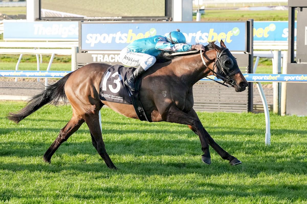 Vincent Hall Hits Run of Form as Harmonett Triumphs at Mornington