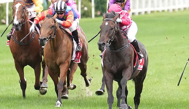 Racing Preview - 20/09/25