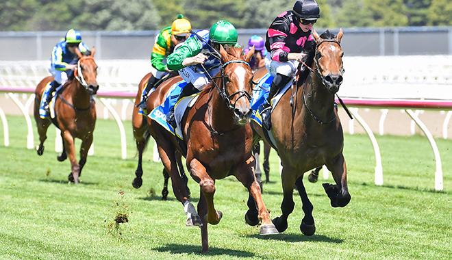 Racing Preview - 03/05/25