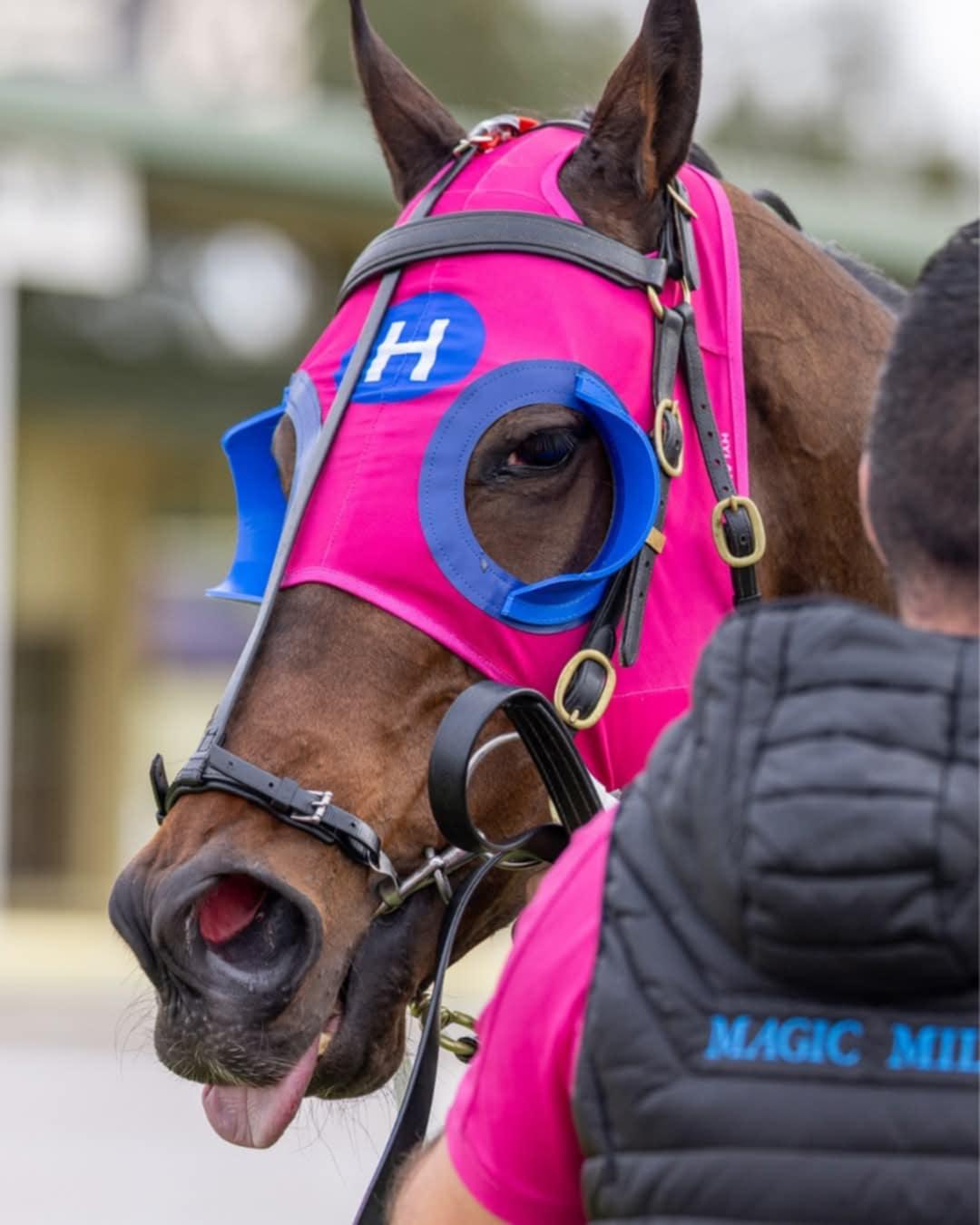 About | Stephen Theodore Racing
