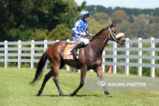 Sunny days for California Longbow