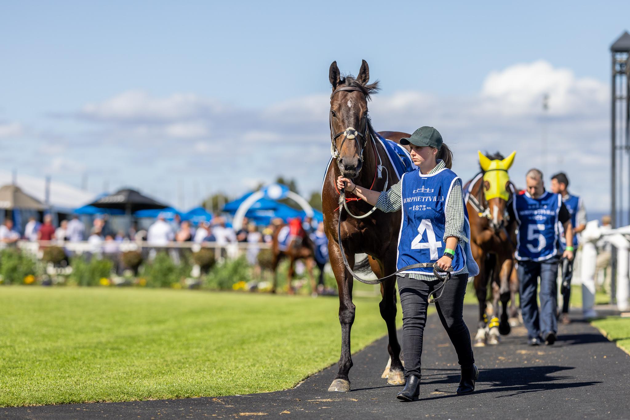 Clarken plots next steps