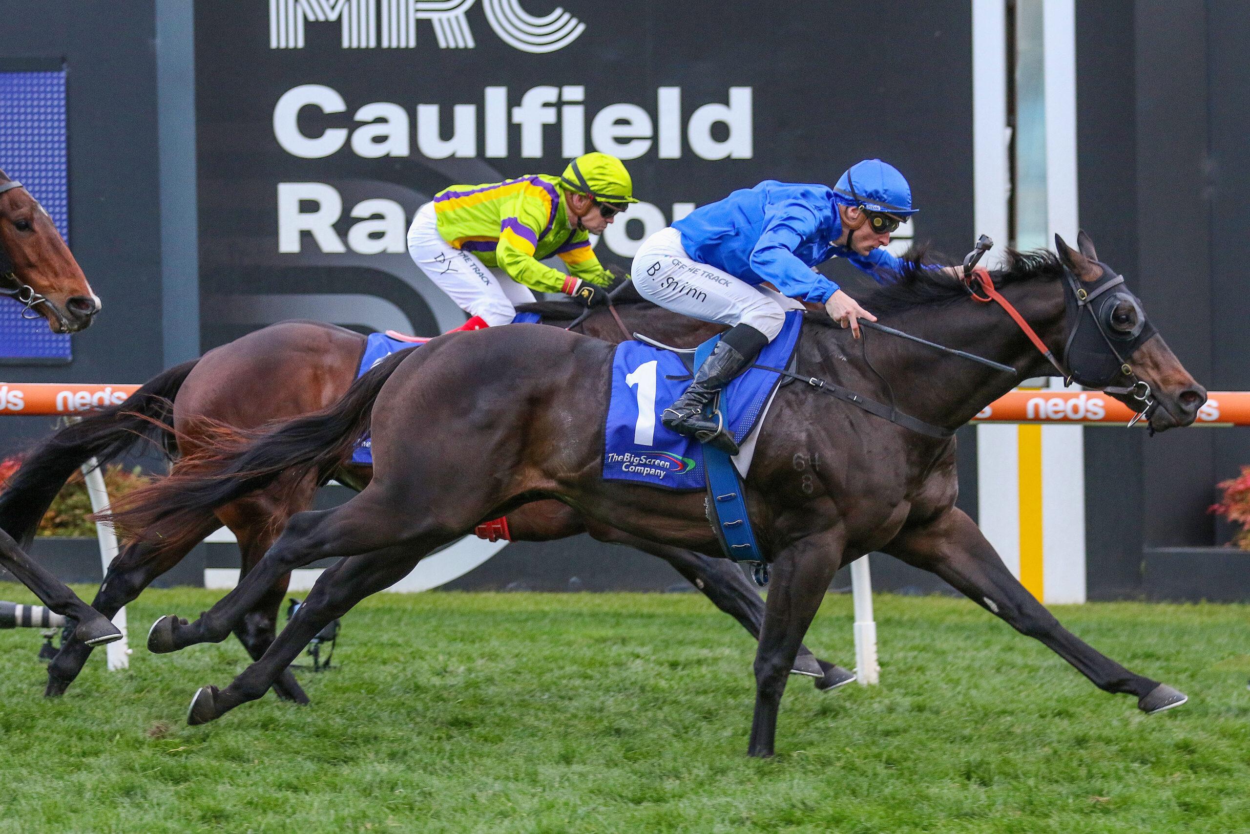 Lease a Three-Quarter Sister to G1 star Ingratiating